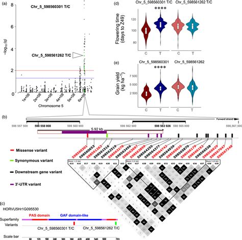 Phyc Genomic Region Shows Strong Association Signals For Phenology And