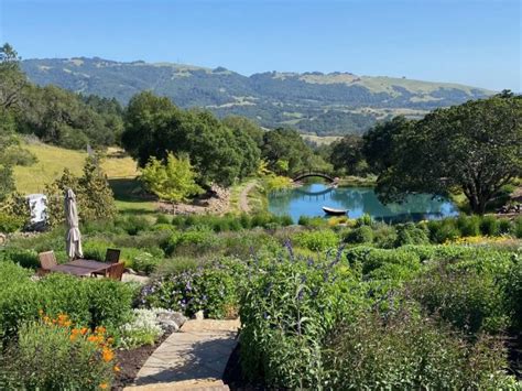 The Four Most Beautiful Wineries In Santa Rosa Calif