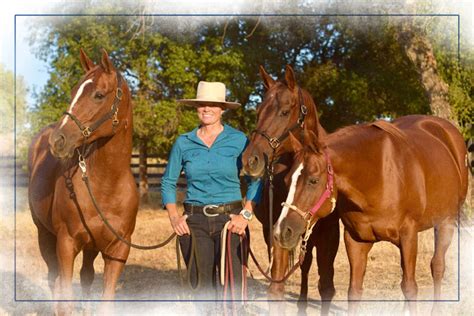 Clinicians Western States Horse Expo