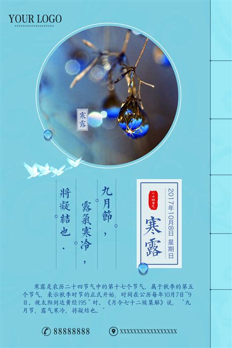 飞鸟素材 飞鸟模板 飞鸟图片免费下载 设图网