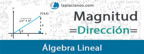 Magnitud Y Dirección De Un Vector Ejercicios Resueltos Laplacianos