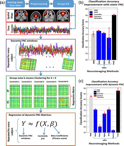 Schematic Description Showing The Multimodal Meg‐fmri Classification Download Scientific
