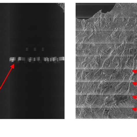 Example Of Sentinel 1 Images Affected By Rfi Radiofrequency Download Scientific Diagram