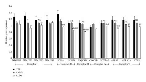 Mitochondrial Complex Subunit Expression And Levels In Healthy Control