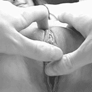 Opening The Clam Gif Sex Com