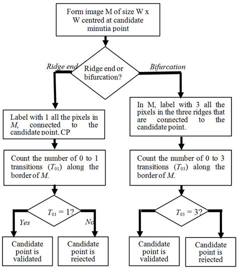 Flowchart For Minutiae Validity Test Download Scientific Diagram