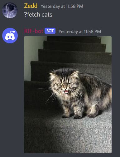 Github Vteam27rif Bot 🤖rif Bot Is A Simple And Useful Discord Bot That Can Fetch Images From