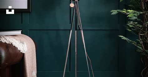 책 옆의 삼각대에 있는 카메라 사진 Unsplash의 무료 에디슨 조명 이미지