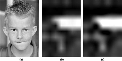 Chapter 24 High Quality Filtering Nvidia Developer