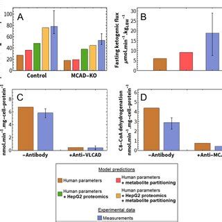 Model Validation Model Predictions Compared To Experimentally Measured Download Scientific