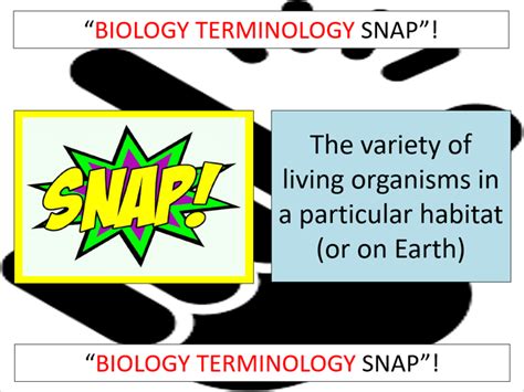 Calculating Biodiversity Edexcel A Level Biology A Teaching Resources