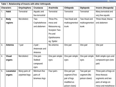 Lecture 2 Classification Of Phylum Arthropoda Upto Classes And Position Of1pptx