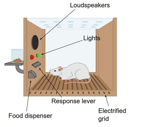 Operant Conditioning Marketing And Consumer Behavior Part