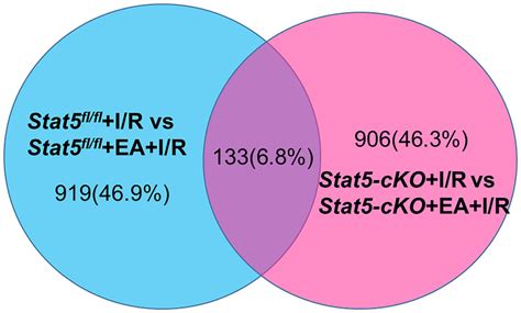 Venn Diagrams And Clustering Analysis Of Rna Seq Results Venn Diagrams Download Scientific
