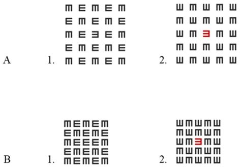 Brain Sciences Free Full Text Probing The Bottleneck Of Awareness Formed By Foveal Crowding