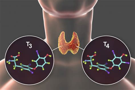 What Is Bioidentical Thyroid Hormone Replacement Therapy