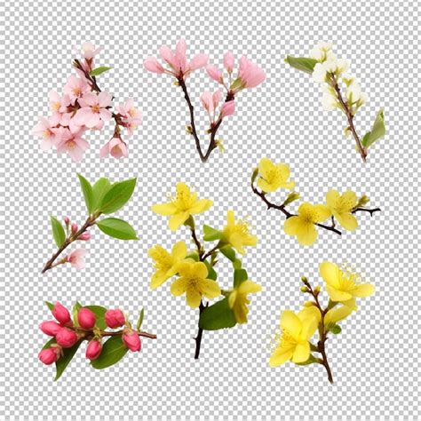 Premium Psd Spring And Summer Flowers Model Advertsing