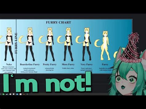 Furry Scale Diagram