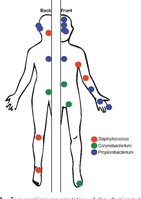 Figure 1 From The Intersection Of Microbiome And Host At The Skin Interface Genomic And