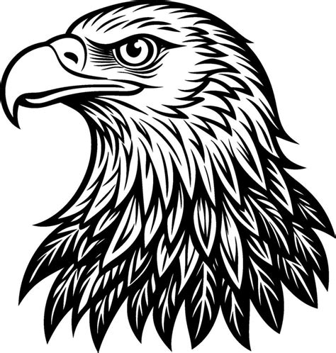 American Bald Eagle Silhouette Art Illustration 46984766 Vector Art At