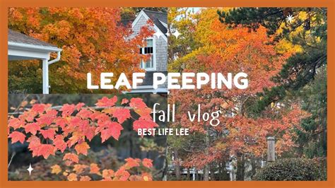Fall Leaf Peeping New England Fall Foliage Youtube