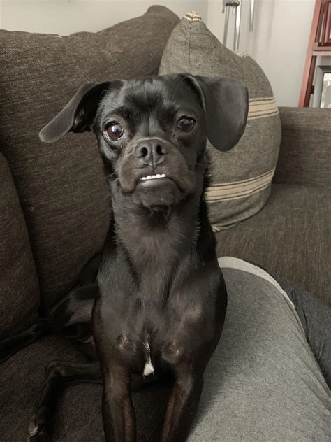 Ellie Mae Says Hello Scrolller