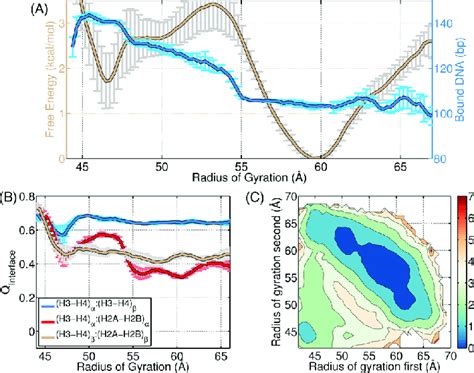 Energy Landscape Analysis For The Tailless Nucleosome A Free Energy
