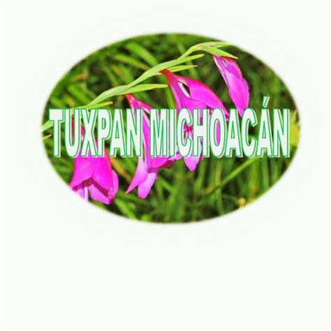 Tuxpan Michoacán