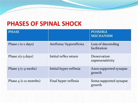 Spinal Shock