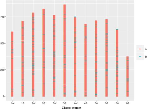 Chromosomal Distribution Of Fixed Nucleotide Differences Between T