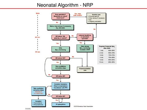Ppt Hot And Cold Issues In Neonatal Resuscitation Powerpoint