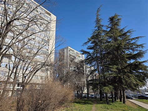 Galaxy S Ultra Vs Vivo X Pro Sample Photos Comparison Phonearena