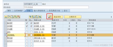 Sap Abap 创建数据库表、数据元素abap 数据元素 Csdn博客