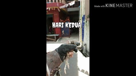 Melatih Che Lm Step By Step Youtube