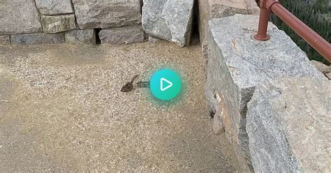 Beartooth Hwy Album On Imgur