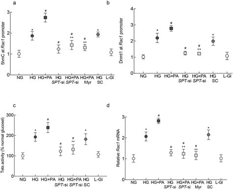 Regulation Of Spt And Transcriptional Activation Of Rac1 In Hrecs A