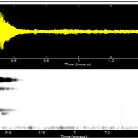 Temporal Evolution And Spectrogram Of Falling Object Download