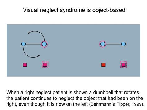 Ppt Selective Visual Attention And Visual Search Powerpoint