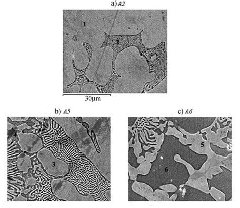 Sem Microphotographs For The Samples A2 A A5 B And A6 C Download Scientific Diagram