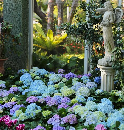 ไม้ดอกเมืองหนาวนานาพรรณในเทศกาลชมสวน “แอ่วสุขใจ I Wanna Be E ”