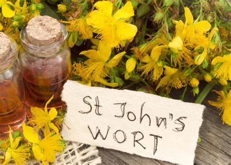 Does St Johns Wort Work For Teenage Depression