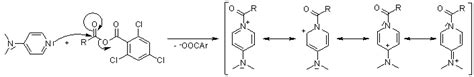 Yamaguchi Esterification