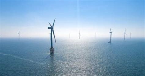 구자근 의원 文 정권 해상풍력단지 조성 수산물 피해액 약 3조