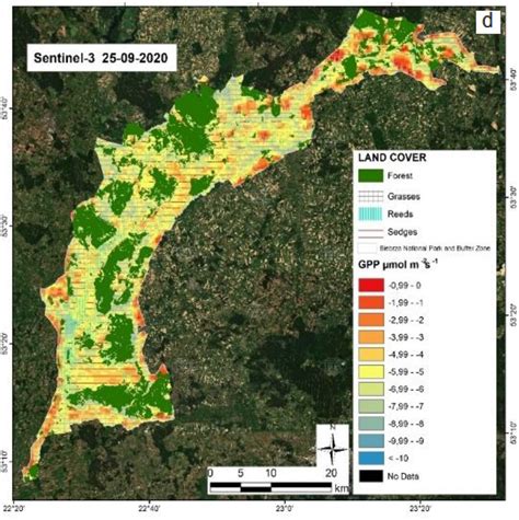 Daily Gross Primary Production Sentinel Success Stories Sentinel Online