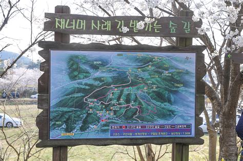 노란 수선화 품에 안은 홍성 거북이마을 두피디아 여행기