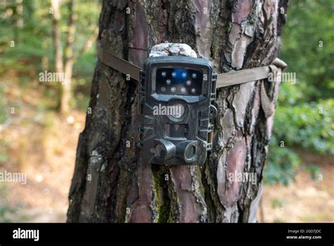 Camouflaged Motion Activated Trail Camera For Photographing Wildlife