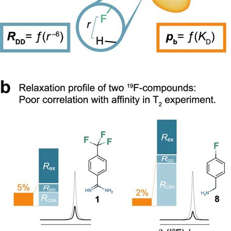 Chemical Shielding Tensors Calculated For Molecules 6 A And 1 B C Download Scientific