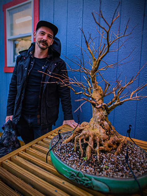 Evan Pardue Underhill Bonsai
