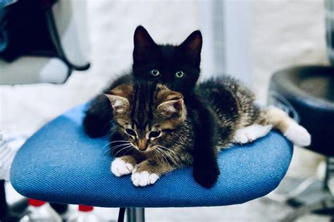 Dont Worry Sis I Gotchu R Eyebleach