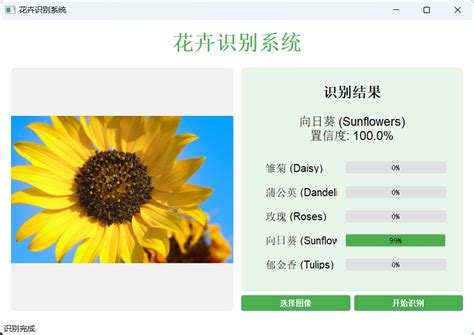 深度学习玩转花卉识别模型识别花卉有哪些 Csdn博客